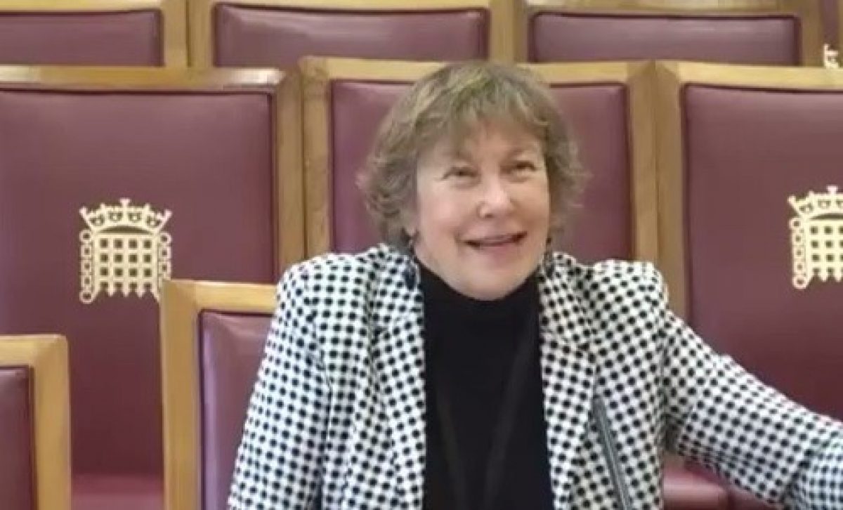 Lady Alison Wolf issues ‘headless chickens’ warning over Government’s ...