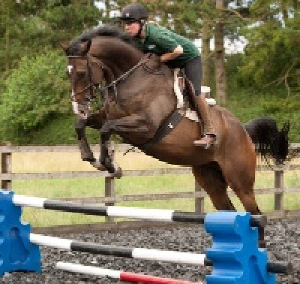 Alice Barnard, CEO, the Edge Foundation