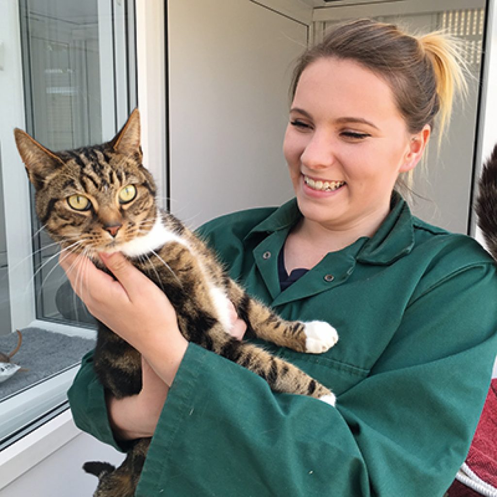 Moreton Morrell College open Blue Cross cattery