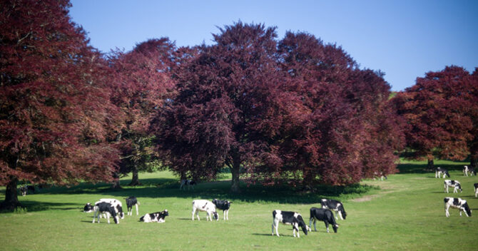 What it takes to keep land-based colleges going