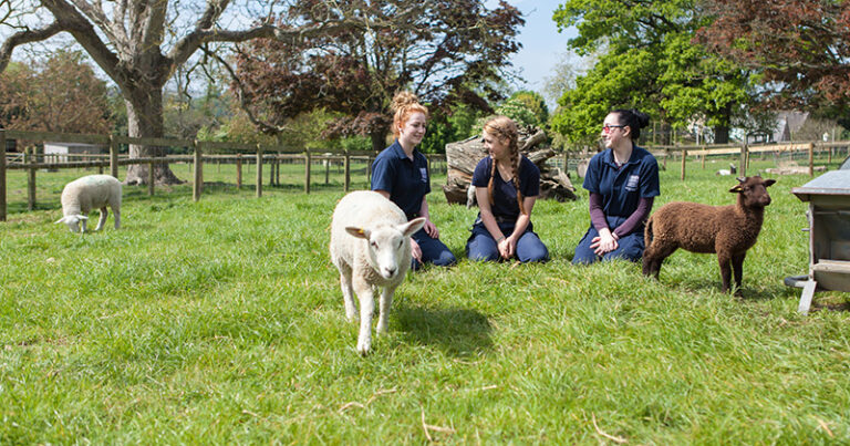 What it takes to keep land-based colleges going