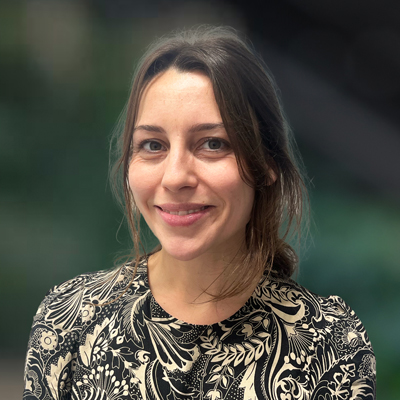 Ofsted: Sir Hamid Patel appointed interim chair